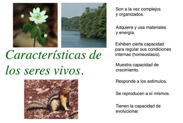 The Characteristics of Living Things